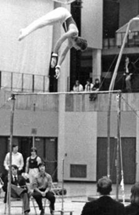 One Daunting Vault, Two Resiliency Approaches: Learning from Gymnastics ...