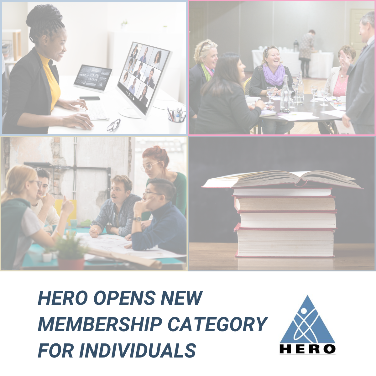 Individual-Solo Expert Membership – HERO